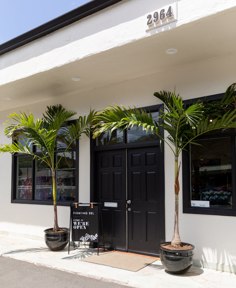 Locations – Fighting Eel